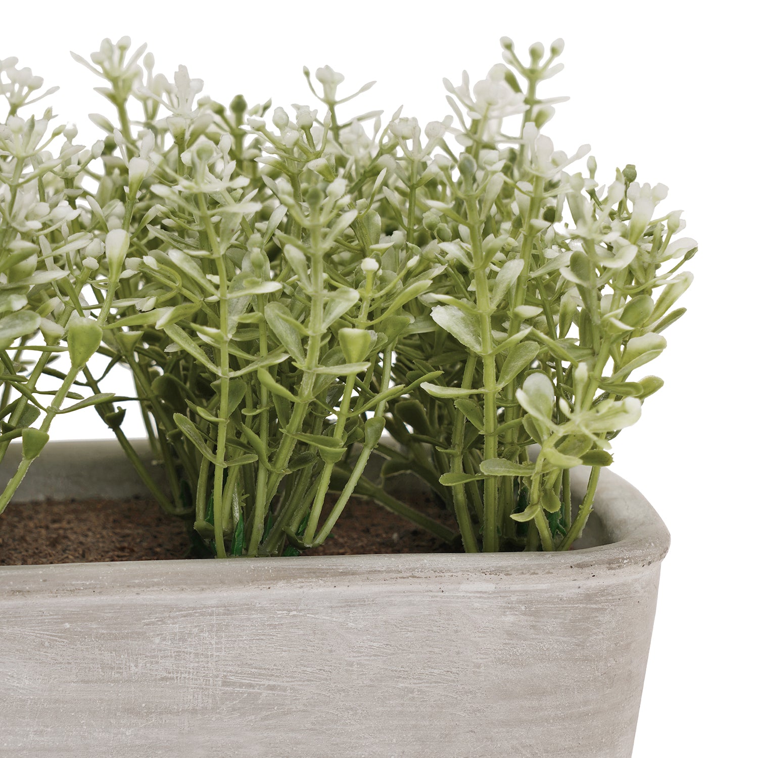Shop Green Faux Plant With Rectangular Cement Pot - at Best Price ...