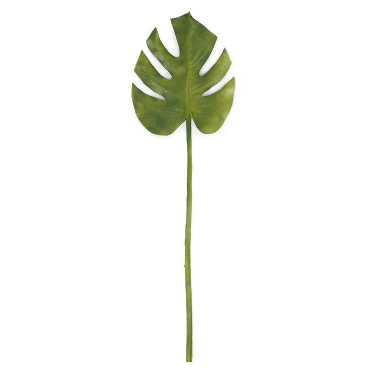 Shop Single Monstera Leaf Spray - at Best Price Online in India