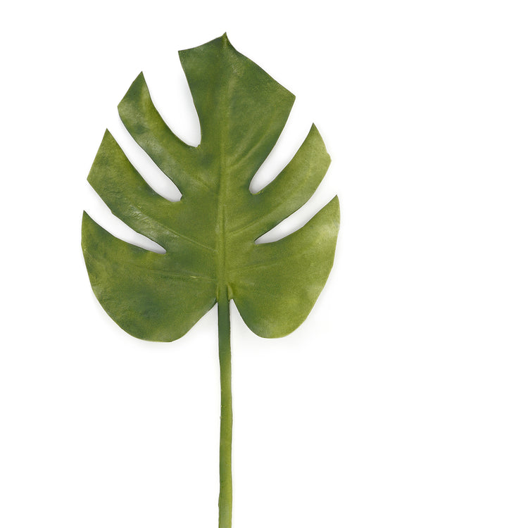 Shop Single Monstera Leaf Spray - at Best Price Online in India