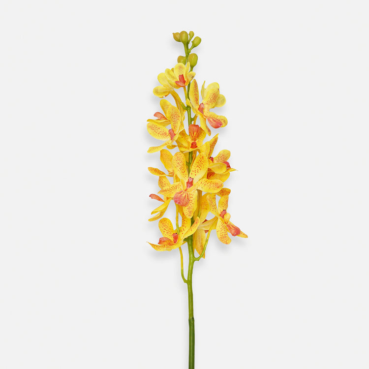 Shop Yellow Artificial Vanda Orchid Flower Stem Single At Best Price Online In India