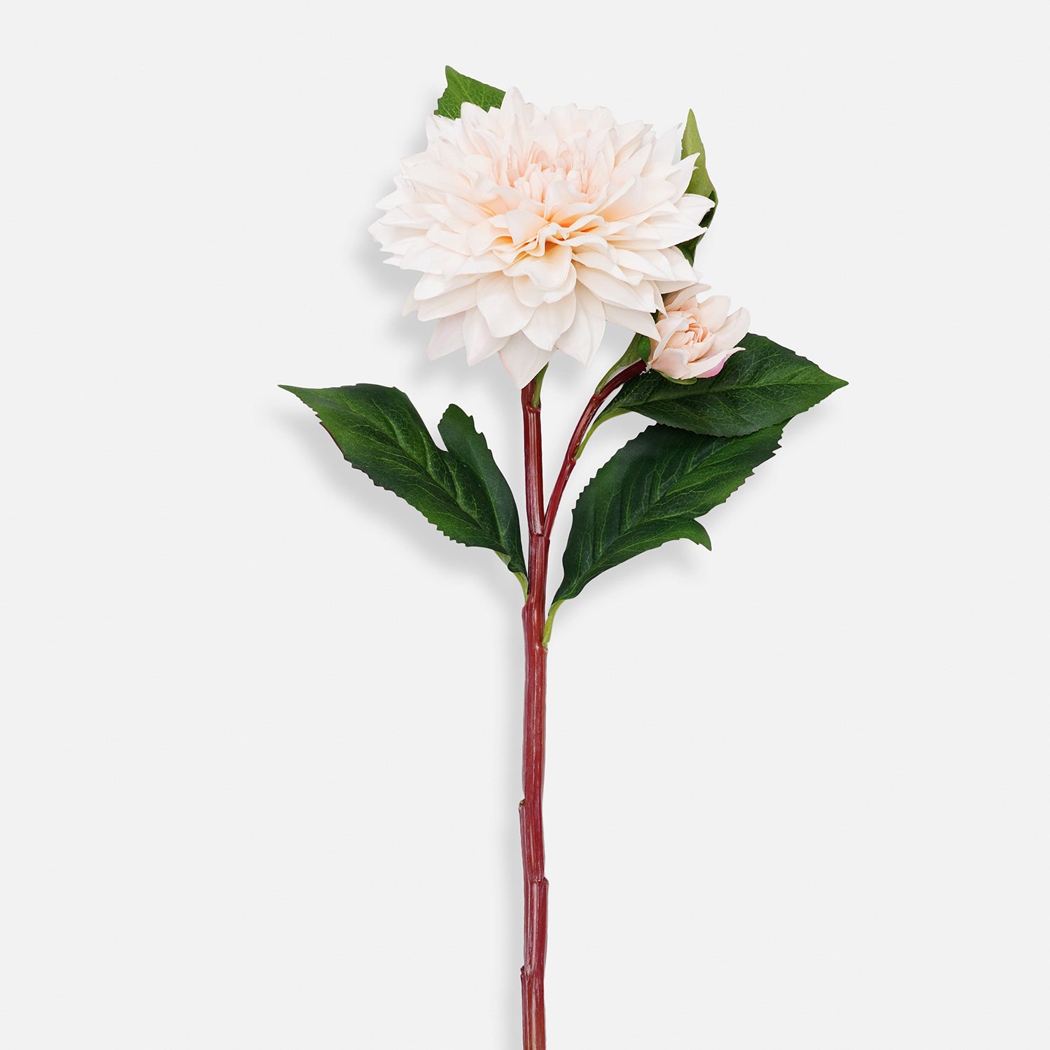 Shop Ivory Artificial Dahlia Flower Stem - Single - at Best Price ...