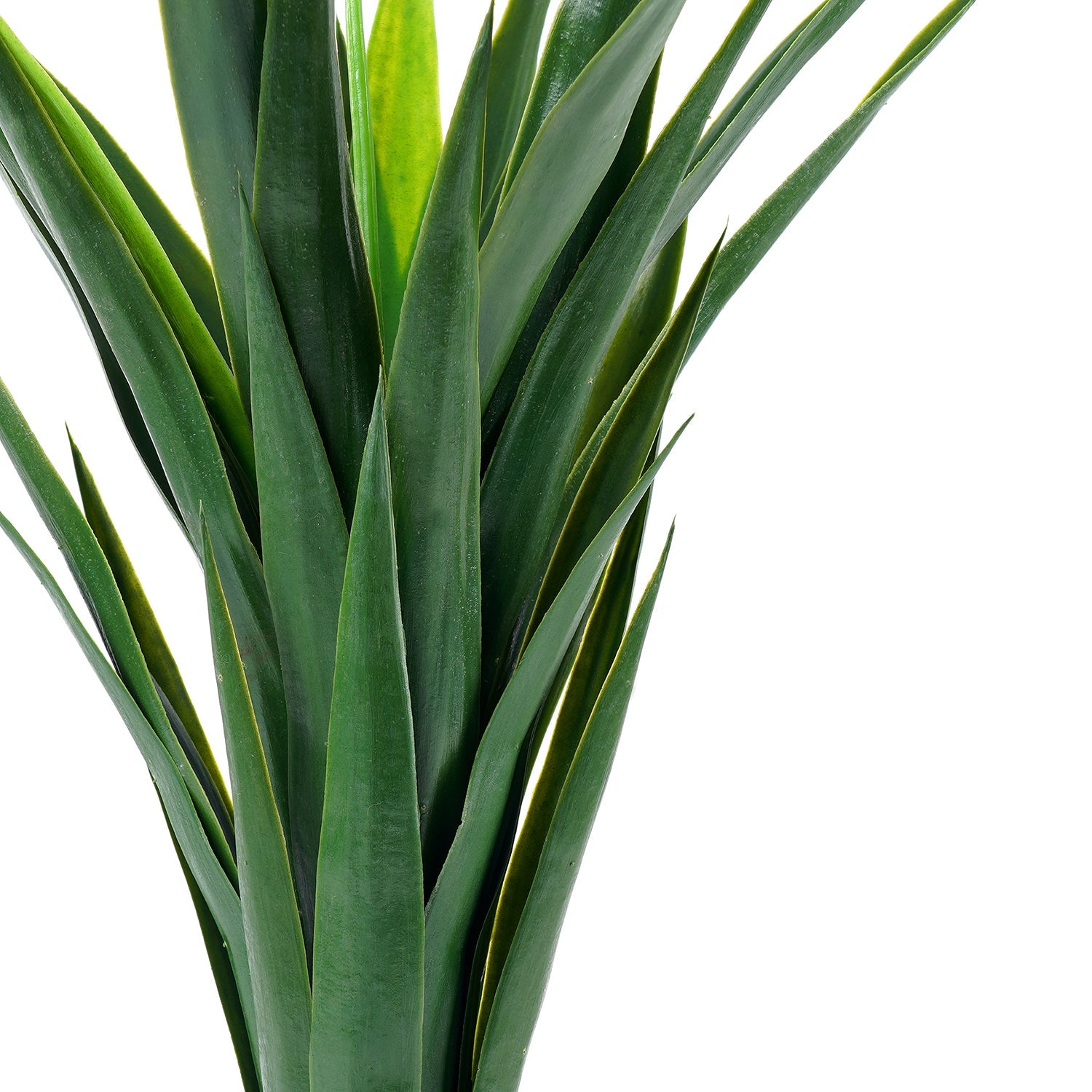 Shop Green Faux Yucca Potted Plant - at Best Price Online in India