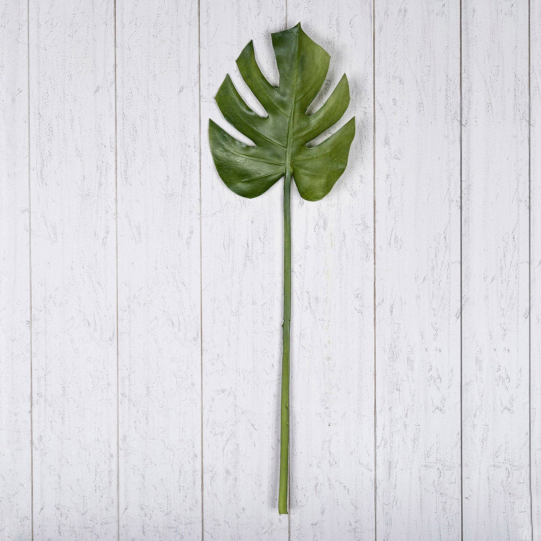 Shop Single Monstera Leaf Spray - at Best Price Online in India